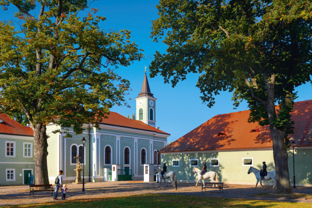 Tipy na výlet: Kladruby nad Labem a okolí - Vyletnik.cz