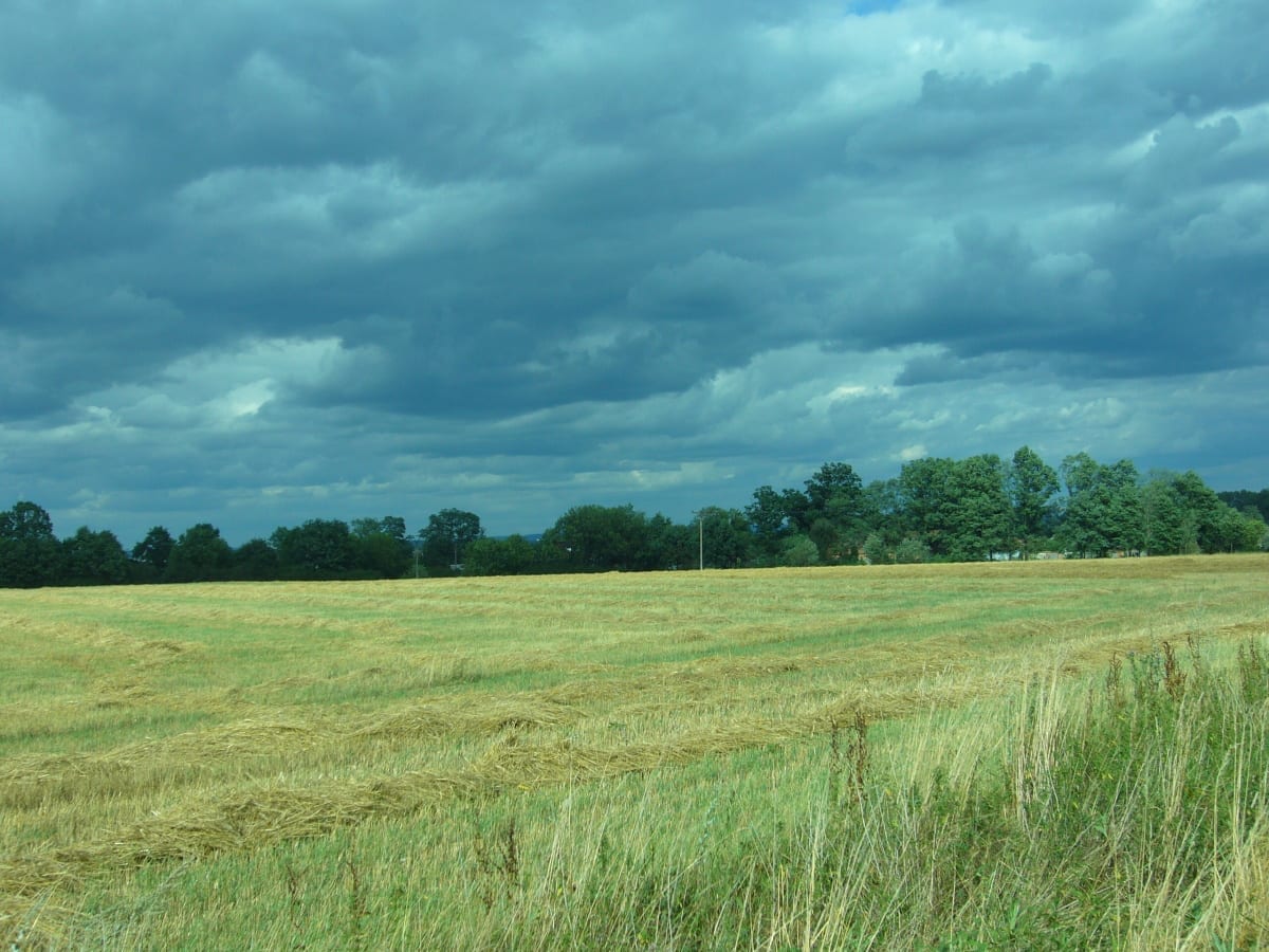Bošilec – tip na výlet | Vyletnik.cz