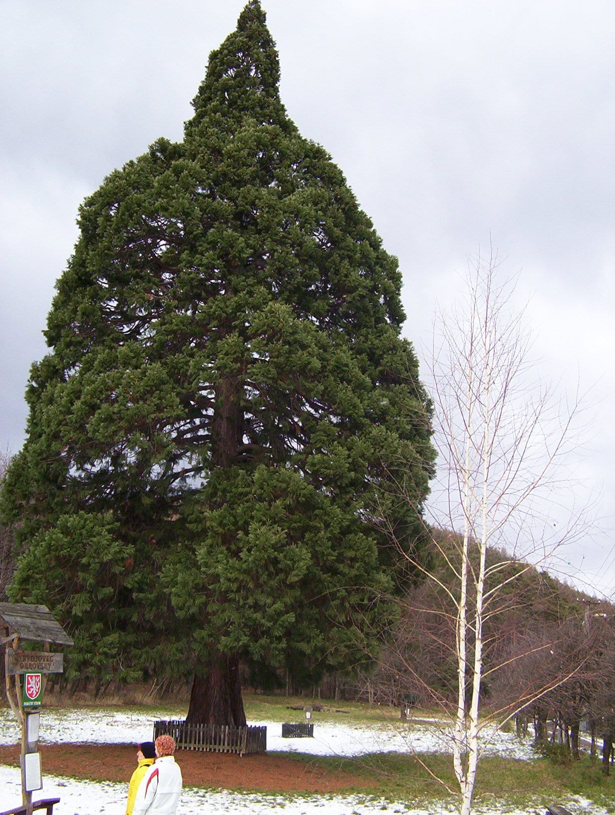 Chabaně – tip na výlet | Vyletnik.cz