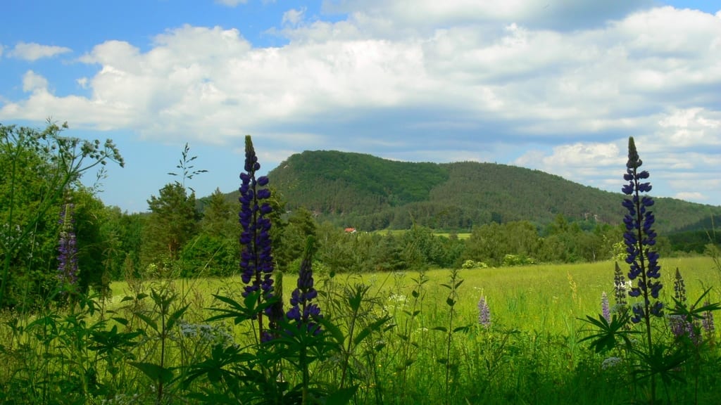 Tip na výlet - Hejnice - Vyletnik.cz