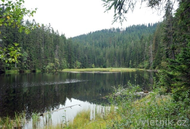 Národní park Šumava – tip na výlet | Vyletnik.cz
