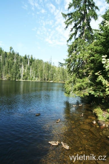 Národní park Šumava – tip na výlet | Vyletnik.cz