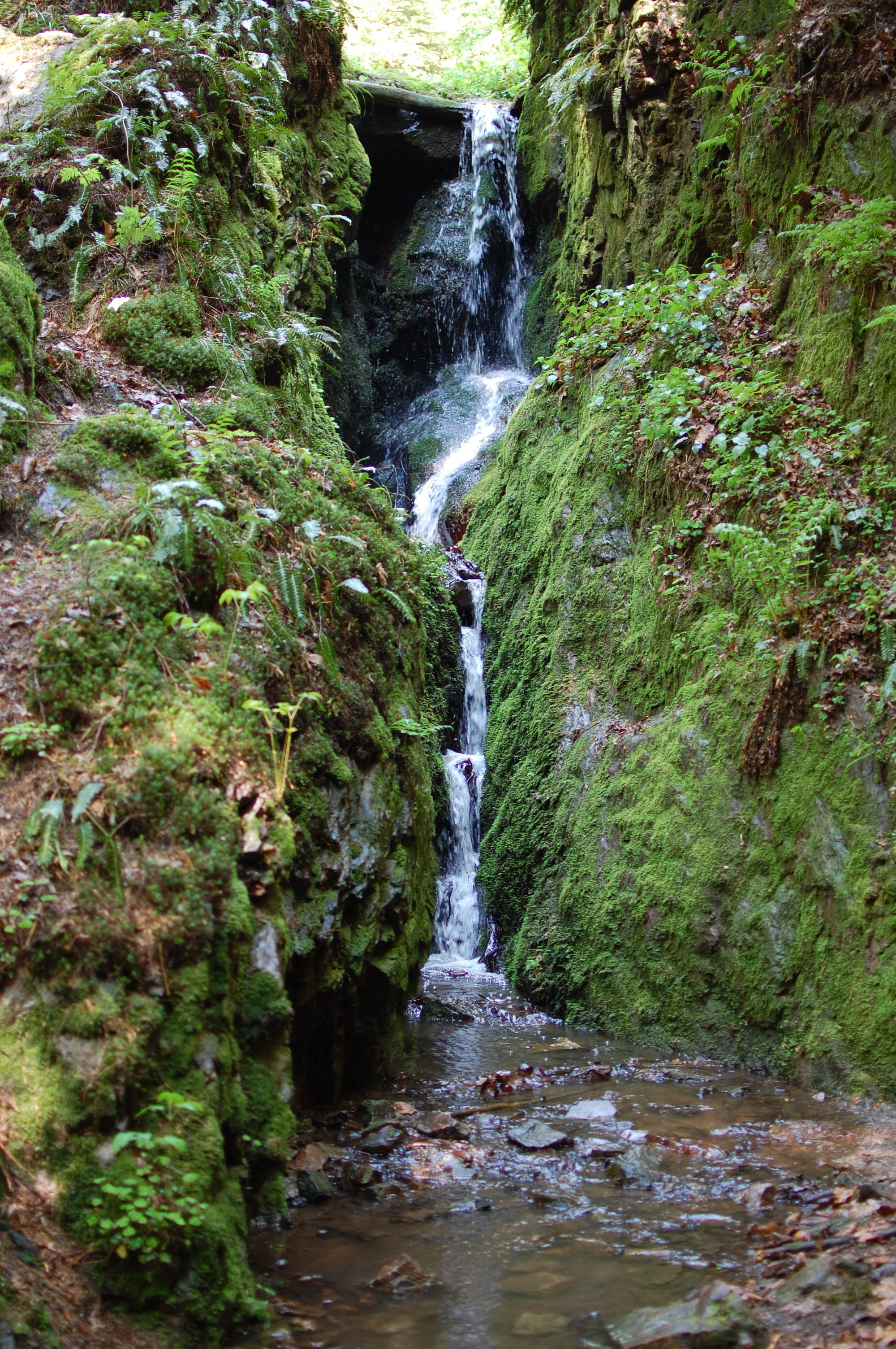 Vodopád v Trenckově rokli – tip na výlet | Vyletnik.cz