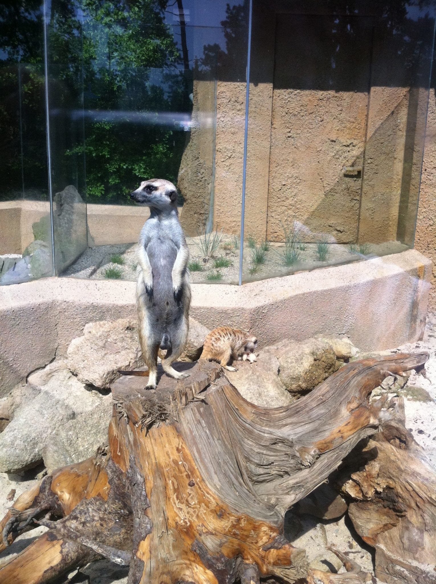 Zoo Olomouc – tip na výlet | Vyletnik.cz