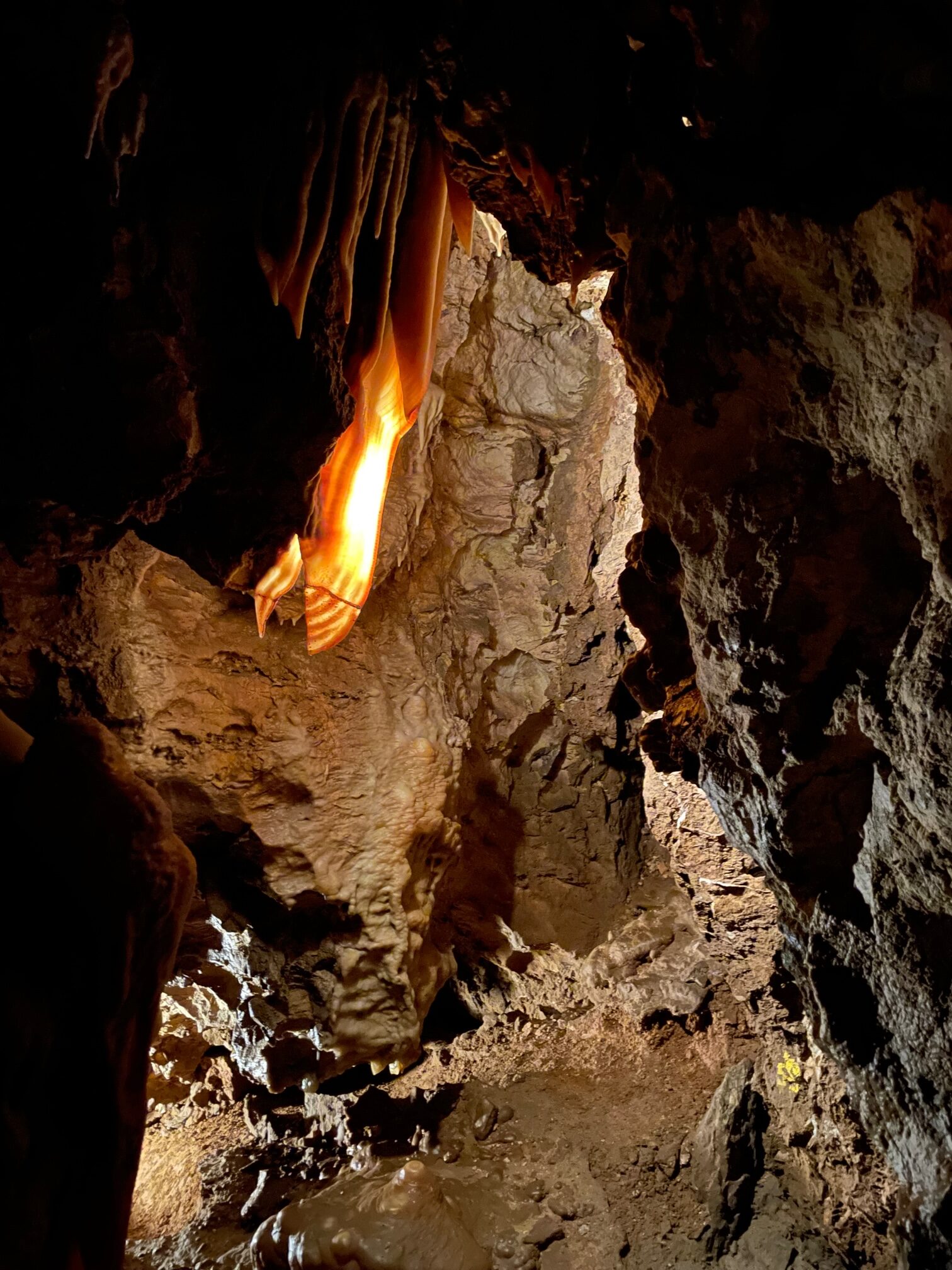 Bozkovské dolomitové jeskyně | Vyletnik.cz