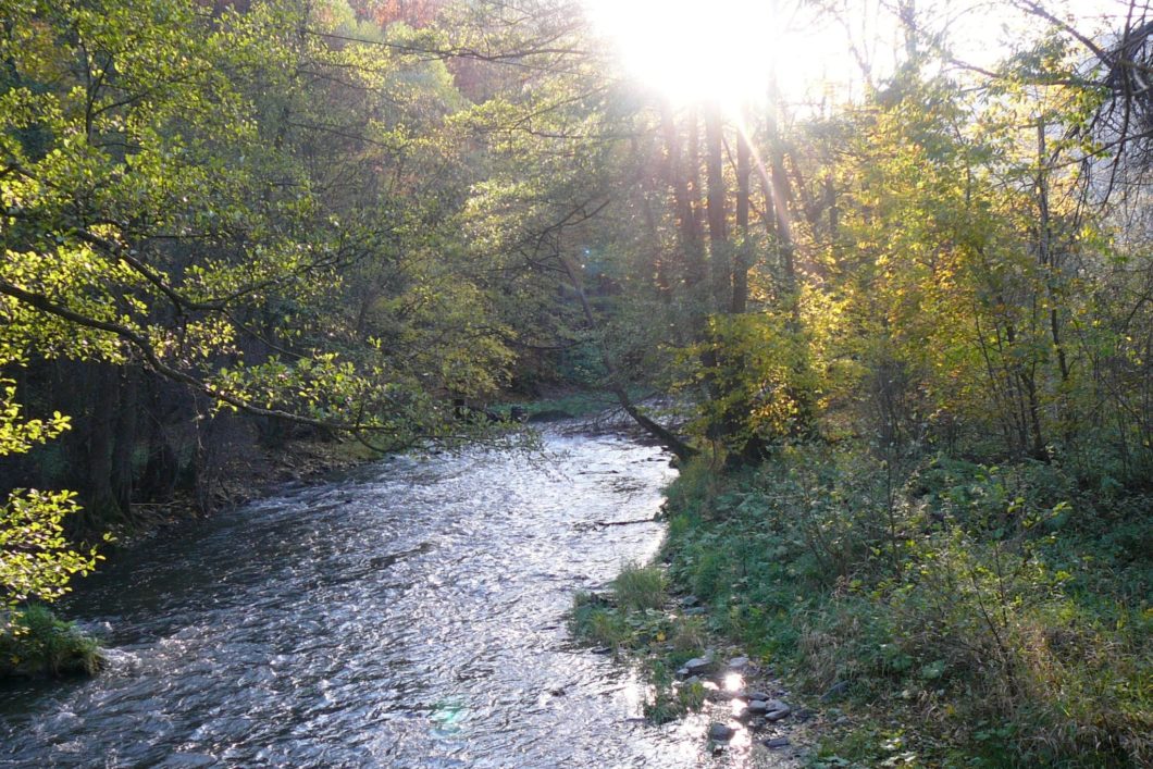 Odra – tip na výlet | Vyletnik.cz