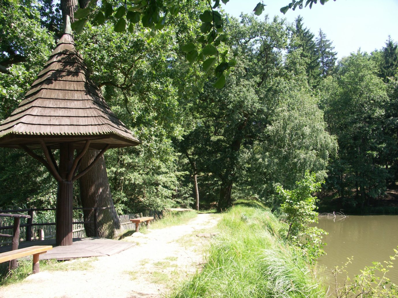 Svatojiřským lesem | Vyletnik.cz