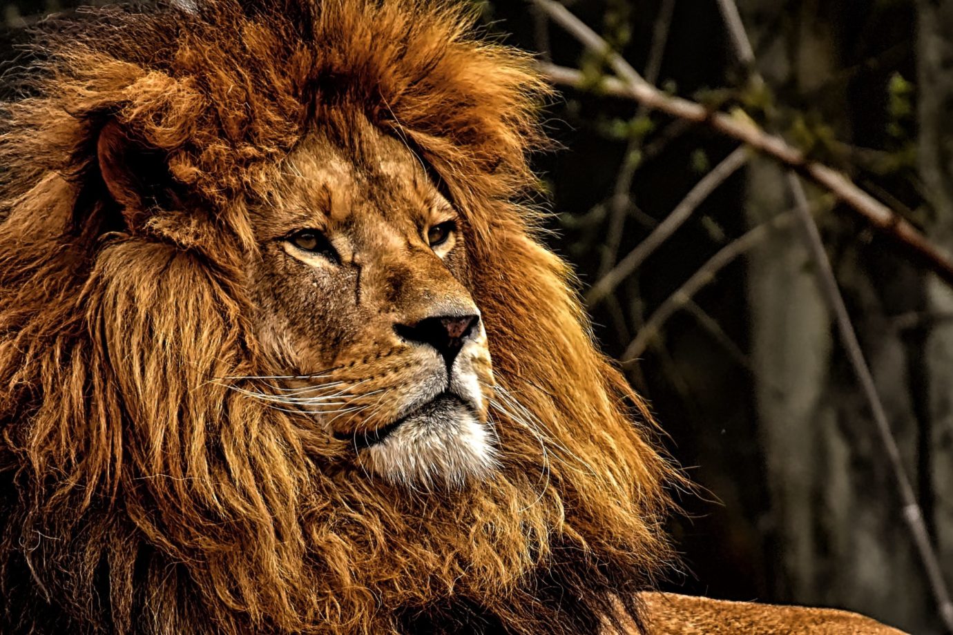 Zoo a botanika Horní Suchá a okolí - Vyletnik.cz