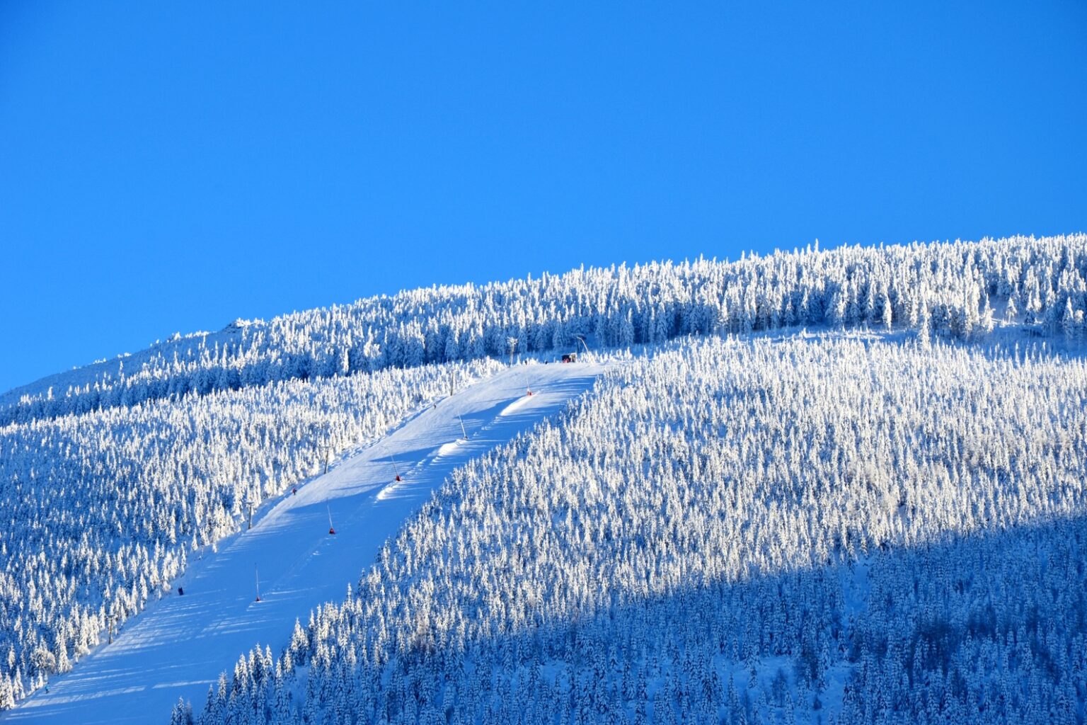 Tipy na výlet: Velká Lesná a okolí - Vyletnik.cz