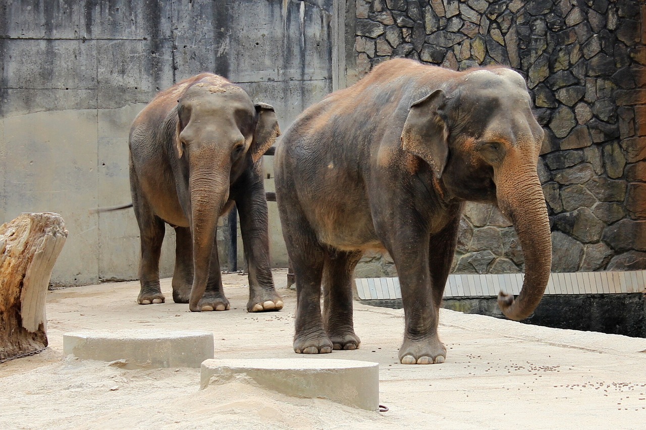 10 tipů na výlet v Liberci