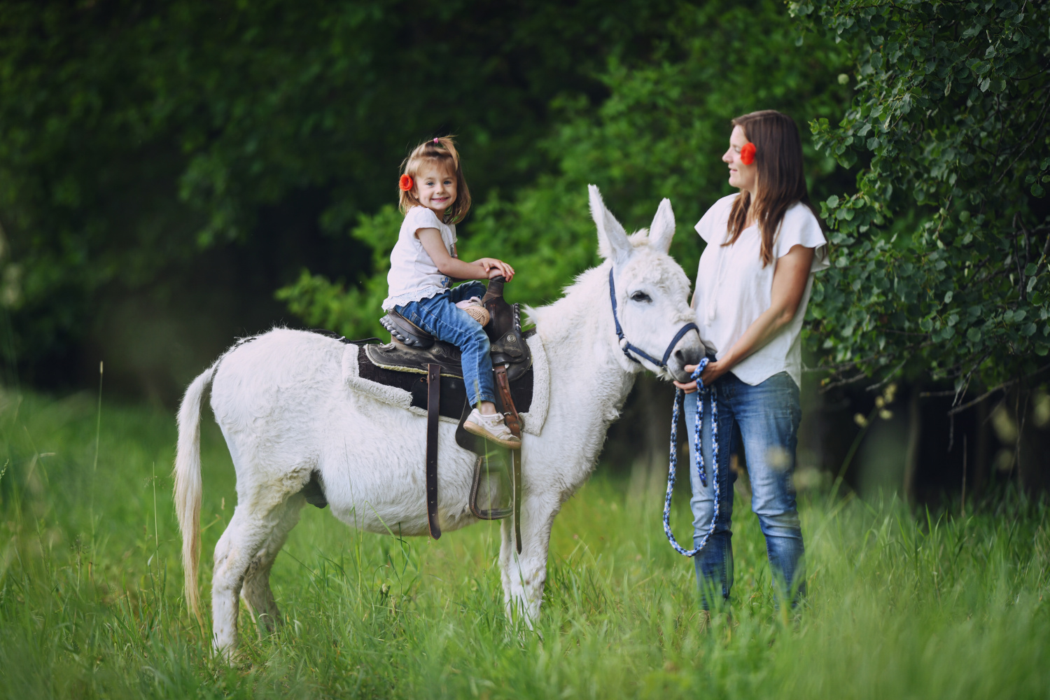 Oslí stezka v Českém ráji to je klid, pohoda, odpočinek a mimořádný zážitek! | Vyletnik.cz