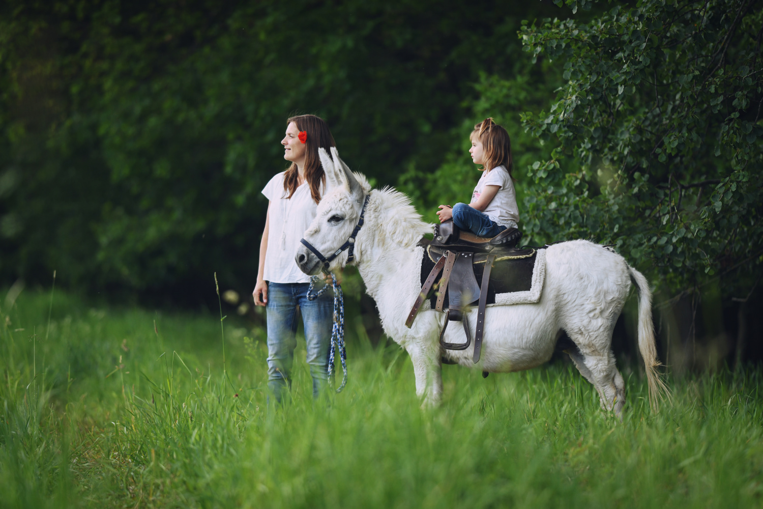 Oslí stezka v Českém ráji to je klid, pohoda, odpočinek a mimořádný zážitek! | Vyletnik.cz