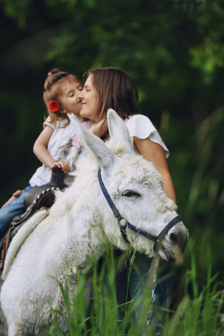 Oslí stezka v Českém ráji to je klid, pohoda, odpočinek a mimořádný zážitek! | Vyletnik.cz