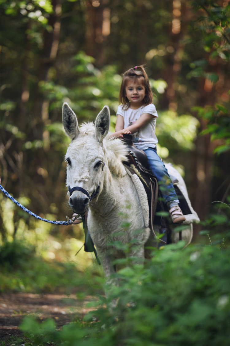 Oslí stezka v Českém ráji to je klid, pohoda, odpočinek a mimořádný ...