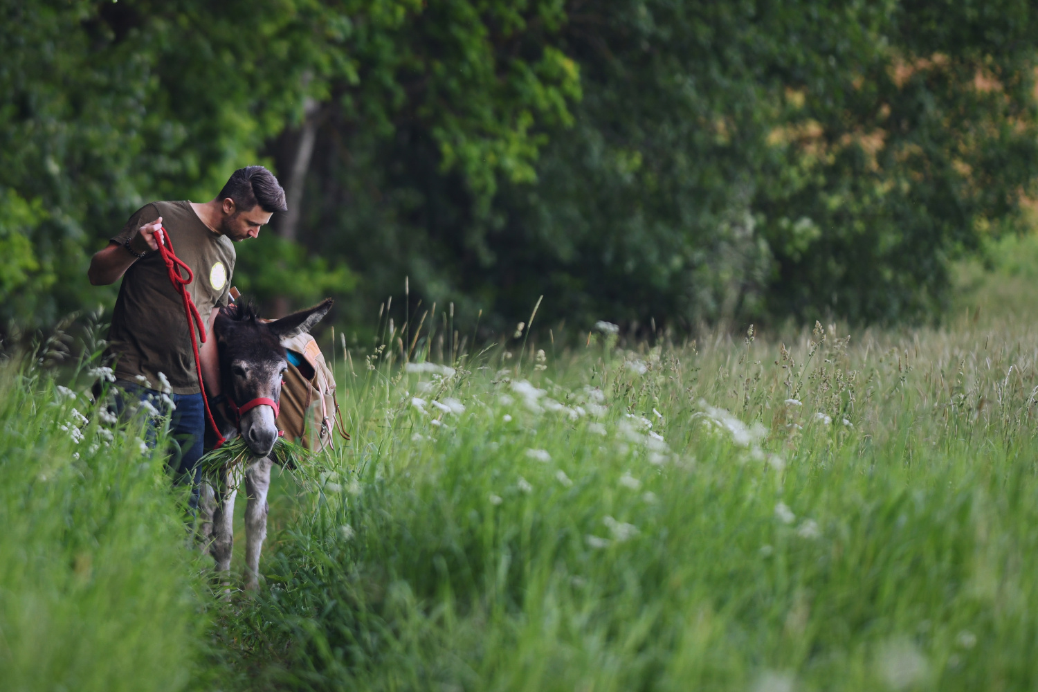 Oslí stezka v Českém ráji to je klid, pohoda, odpočinek a mimořádný zážitek! | Vyletnik.cz