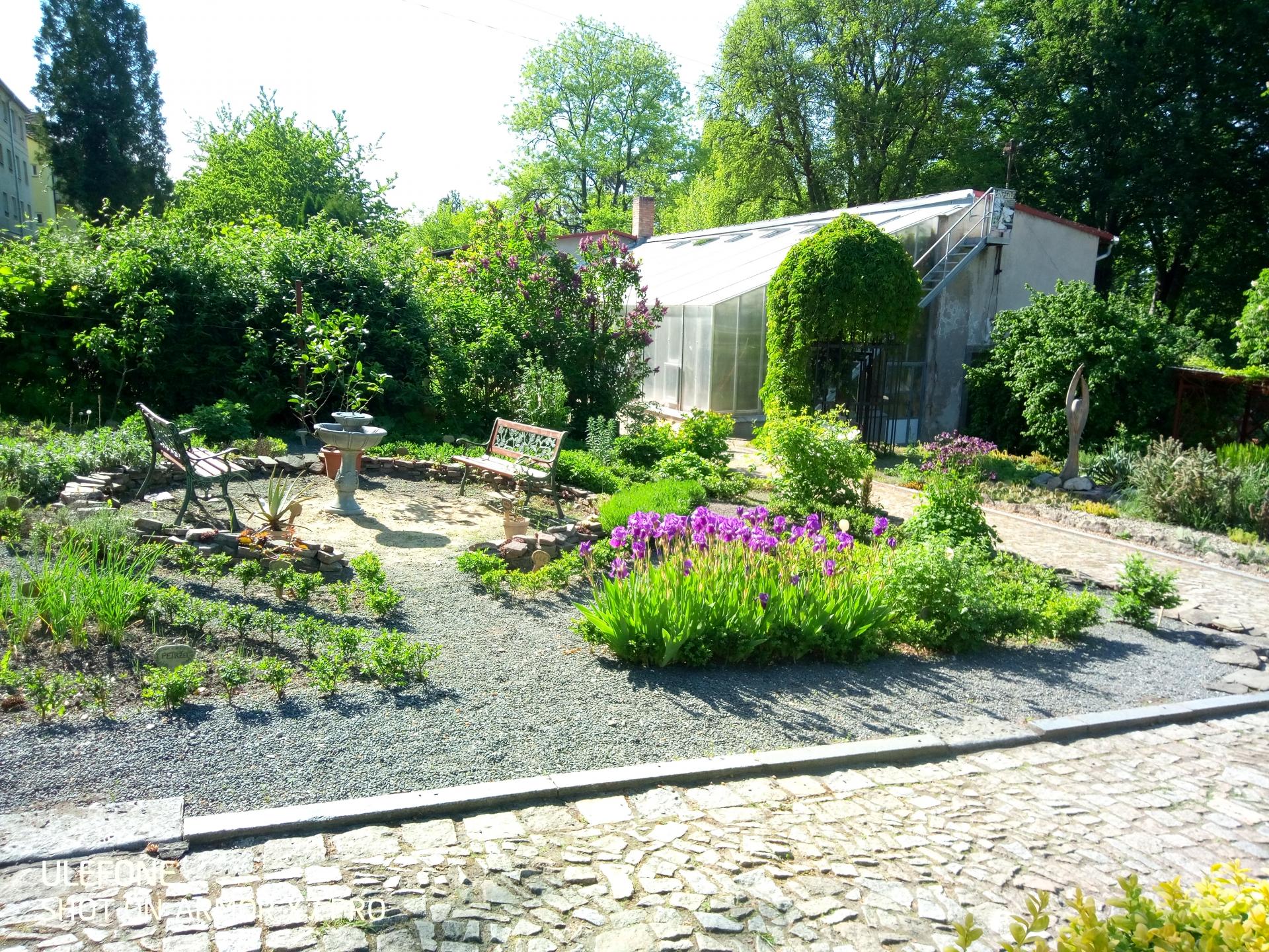 Botanická zahrada v Táboře | Vyletnik.cz