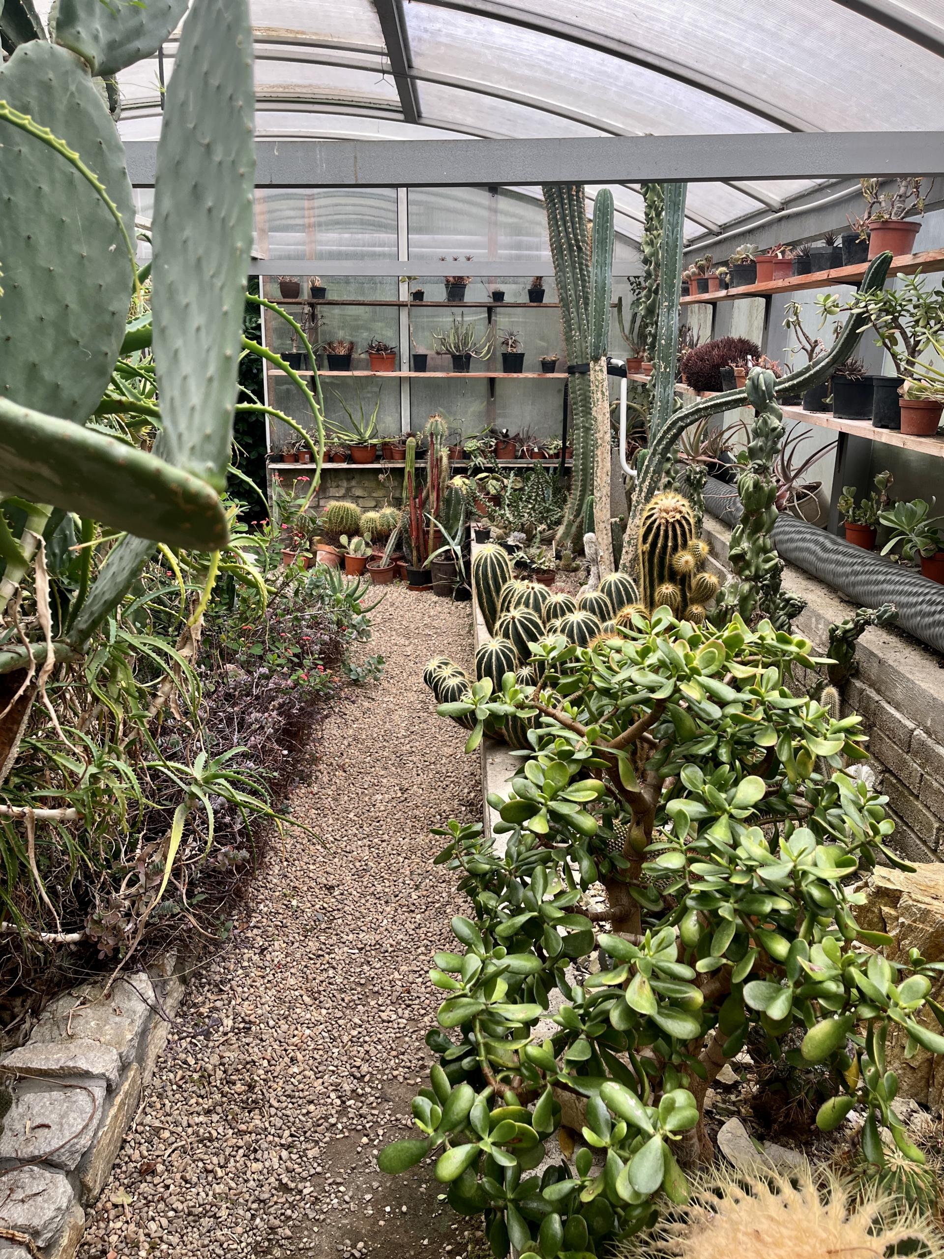Botanická zahrada v Táboře | Vyletnik.cz