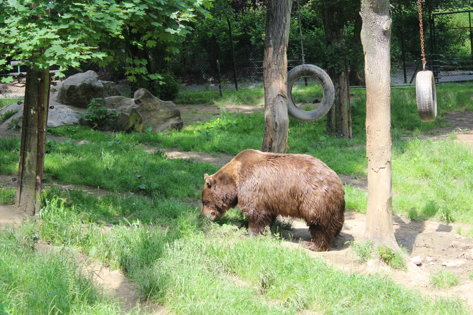 8 tipů na výlet v Berouně a okolí | Vyletnik.cz
