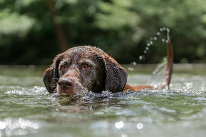Nejkrásnější rozhledny v Česku | Vyletnik.cz