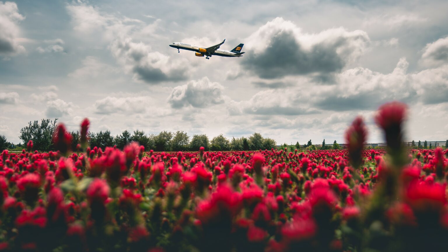 Odkud nejlépe sledovat letadla v Praze? | Vyletnik.cz
