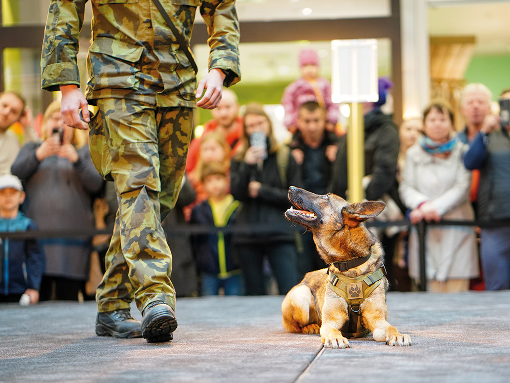 Army den v OC Nisa | Vyletnik.cz