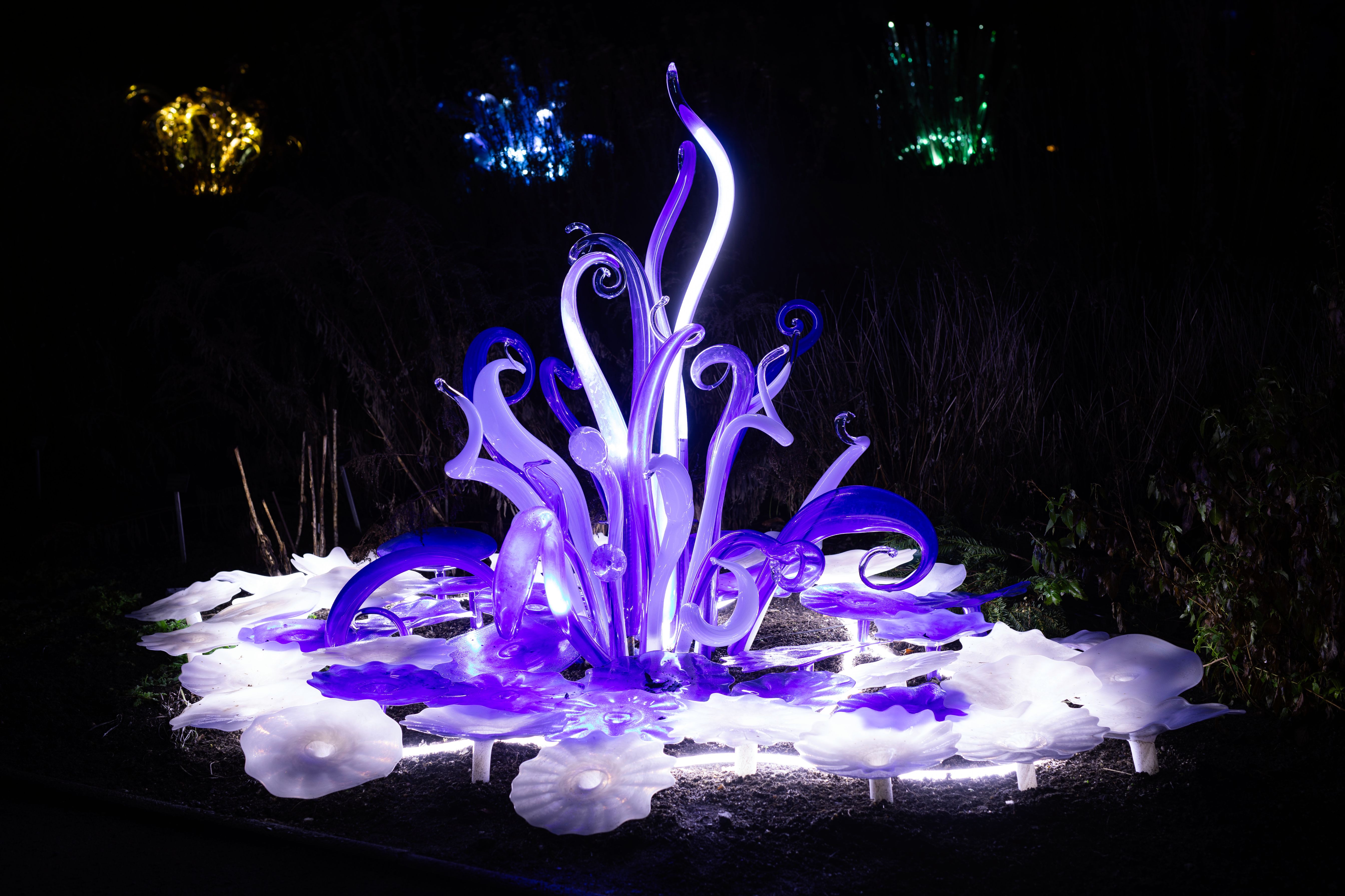 Křišťálová zahrada se vrací do Botanické zahrady | Vyletnik.cz