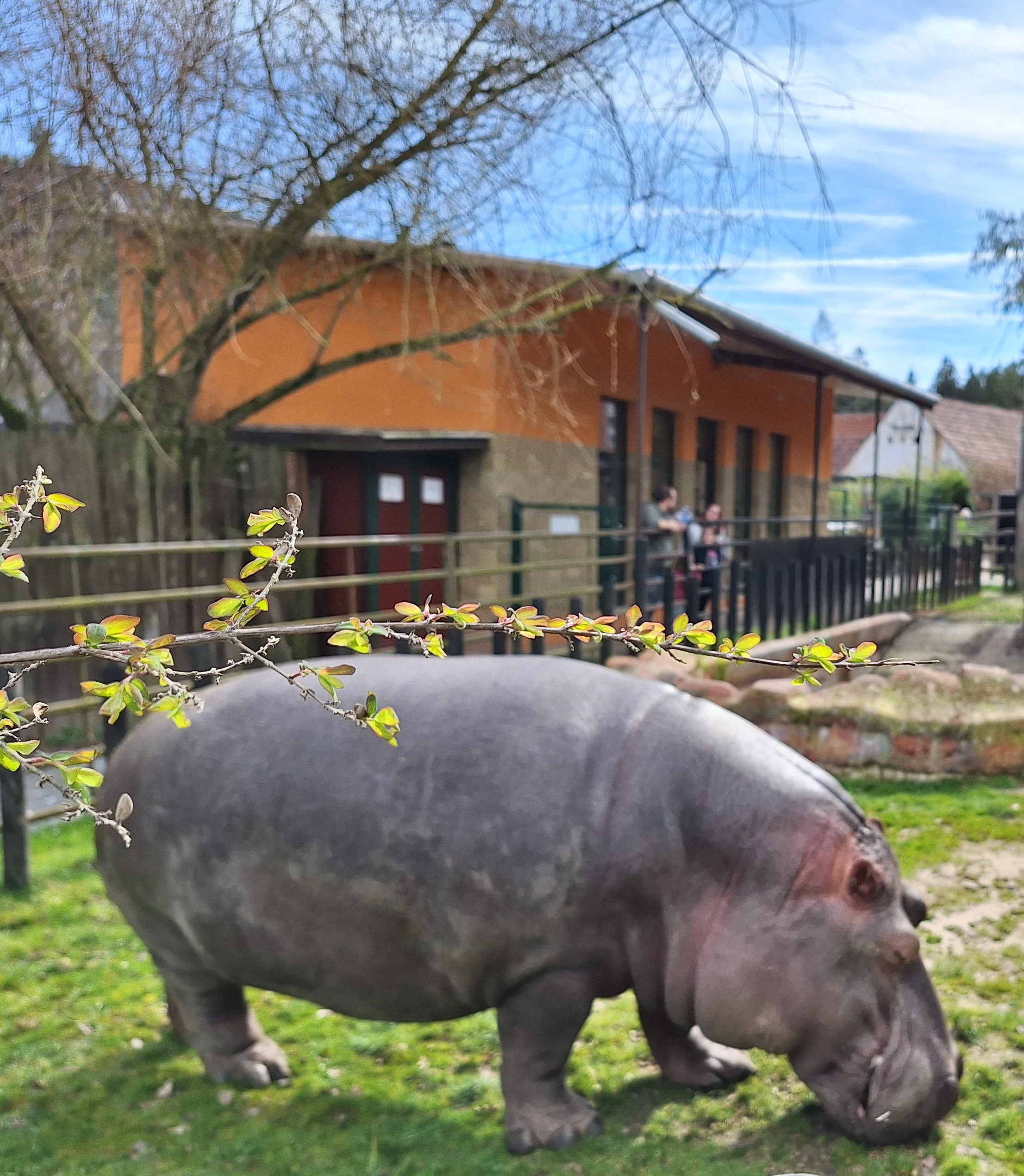 ZOO Dvorec 2026: ideální výlet pro rodiny s dětmi | Vyletnik.cz